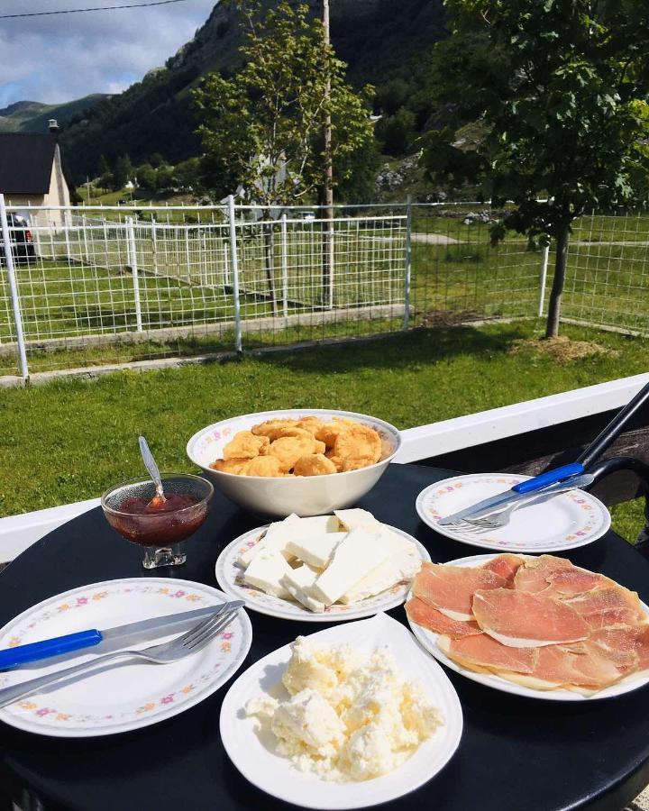 Chalet Katun Mokra Accommodation & Horseback Riding Podgorica ...